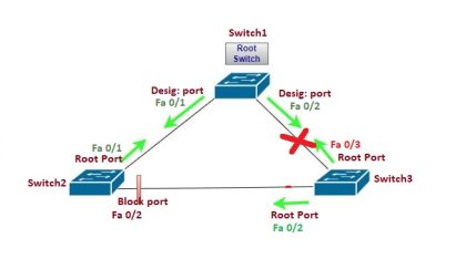 Backbonefast: The Ultimate Solution for Seamless Connections - CCNA ...