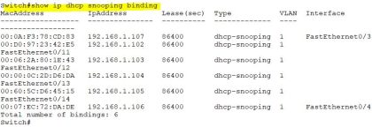 DHCP Snooping Explained: How to Protect Network from Rogue DHCP Attacks ...